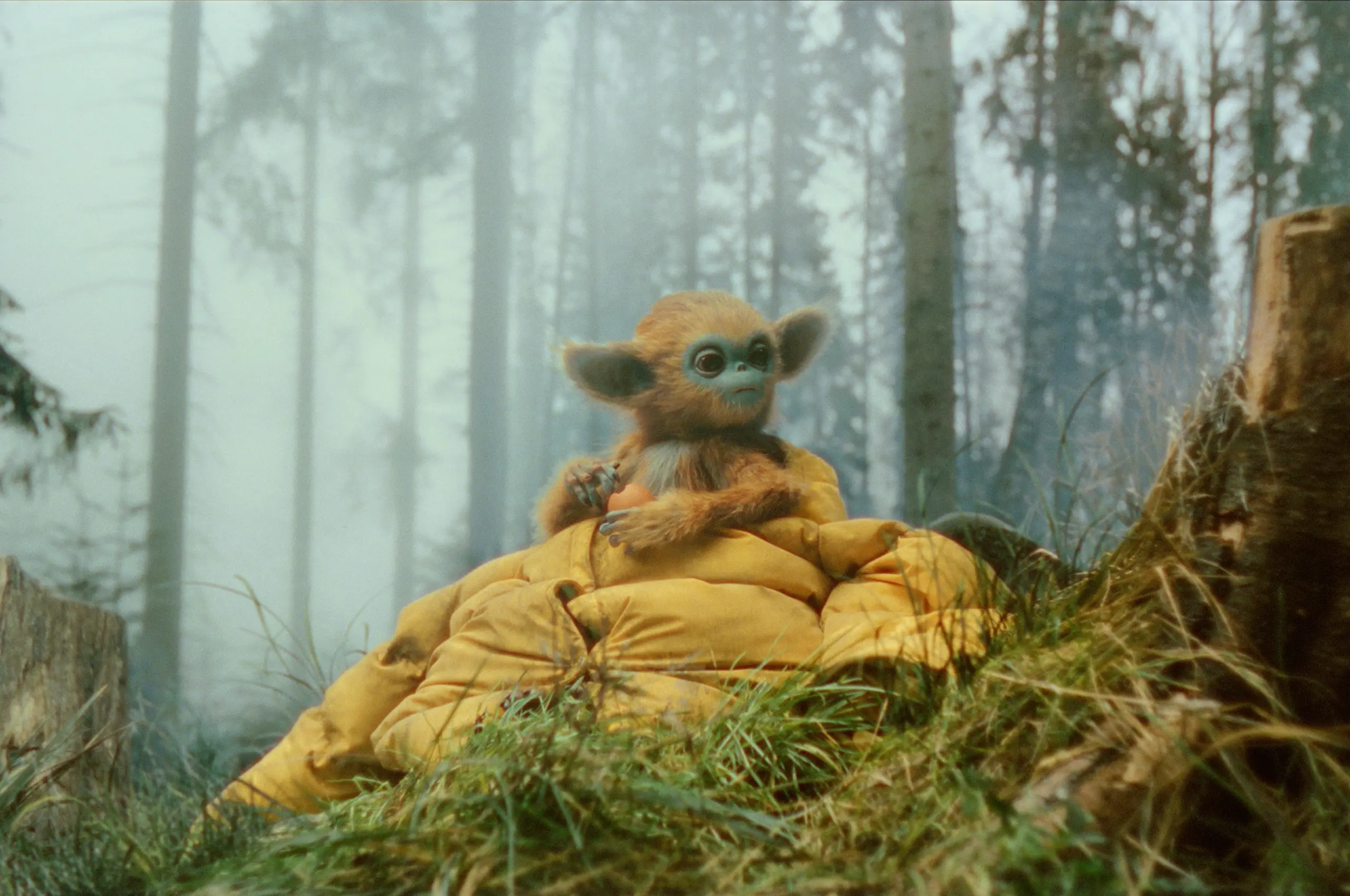 Review: The Best and Worst of A24’s ‘The Legend of Ochi’