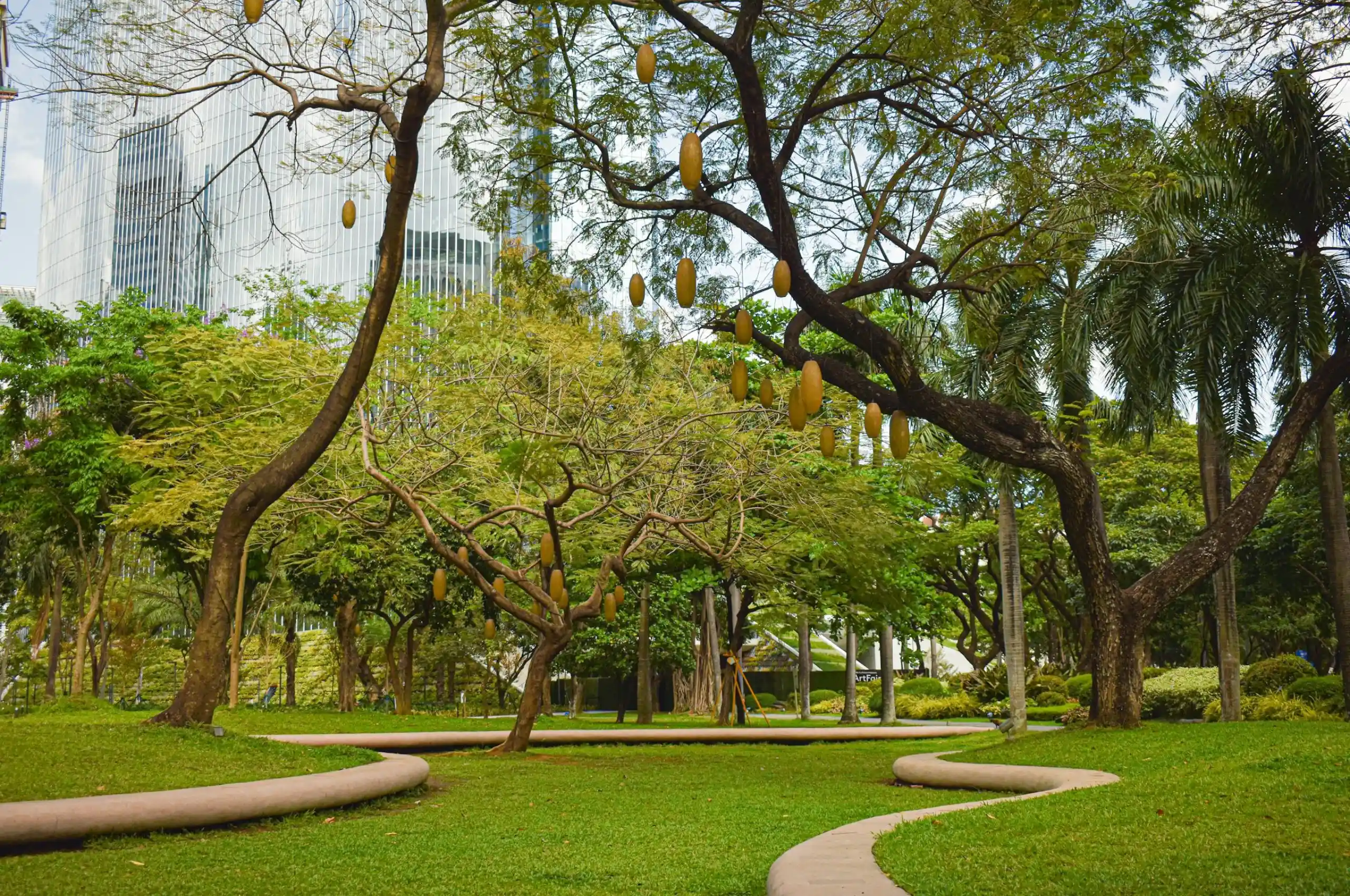 Human Connection to Nature Down by 60%, Study Finds